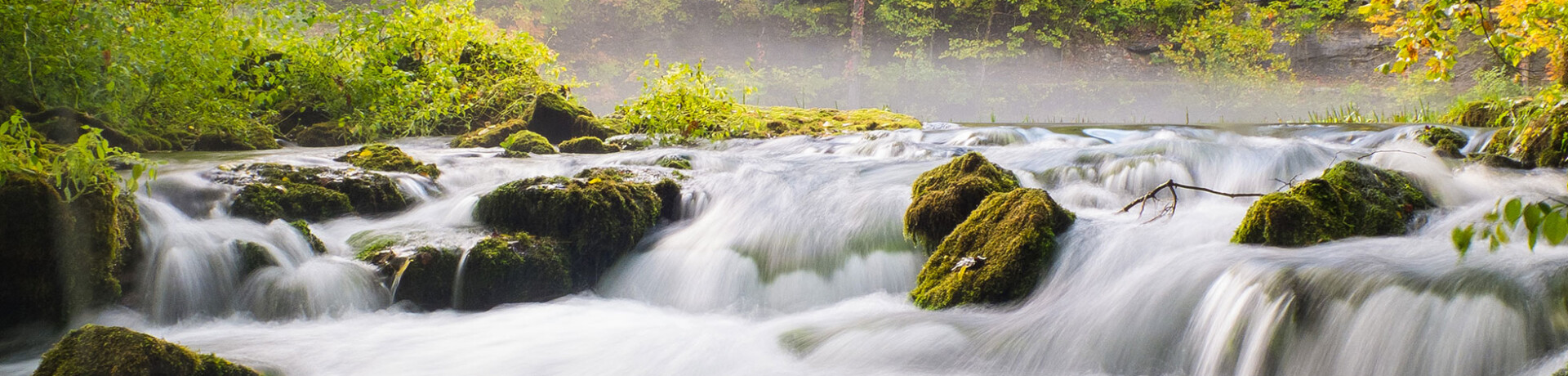 Thesis-Driven Approach - Thompson Street Capital Partners