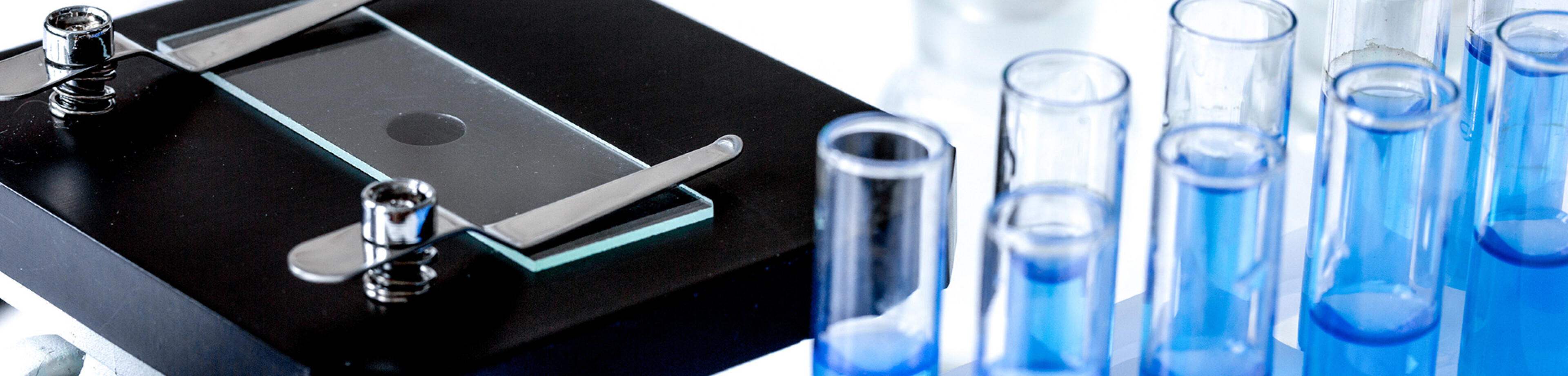 BioIVT - Thompson Street Capital Partners