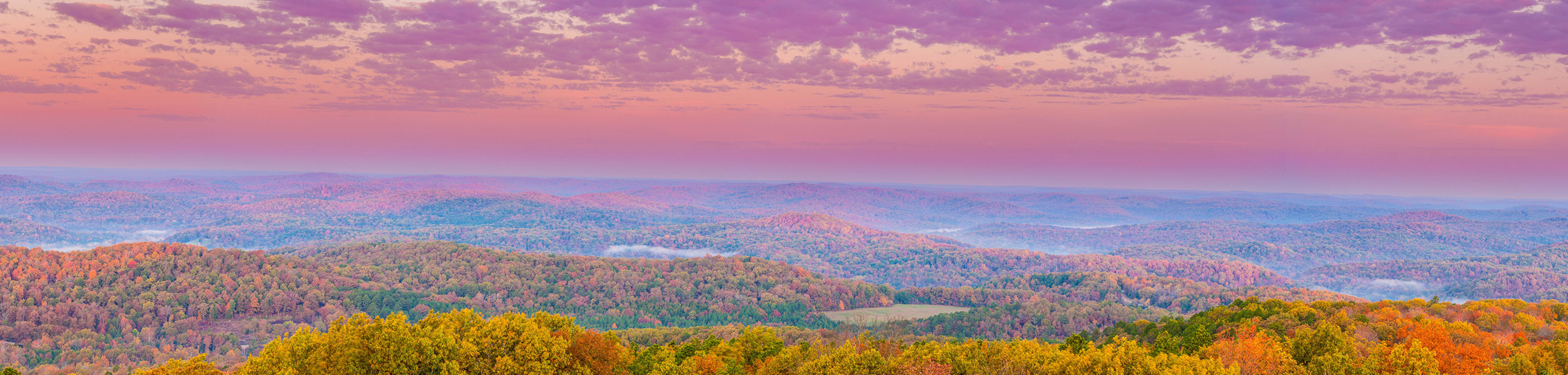 About - Thompson Street Capital Partners